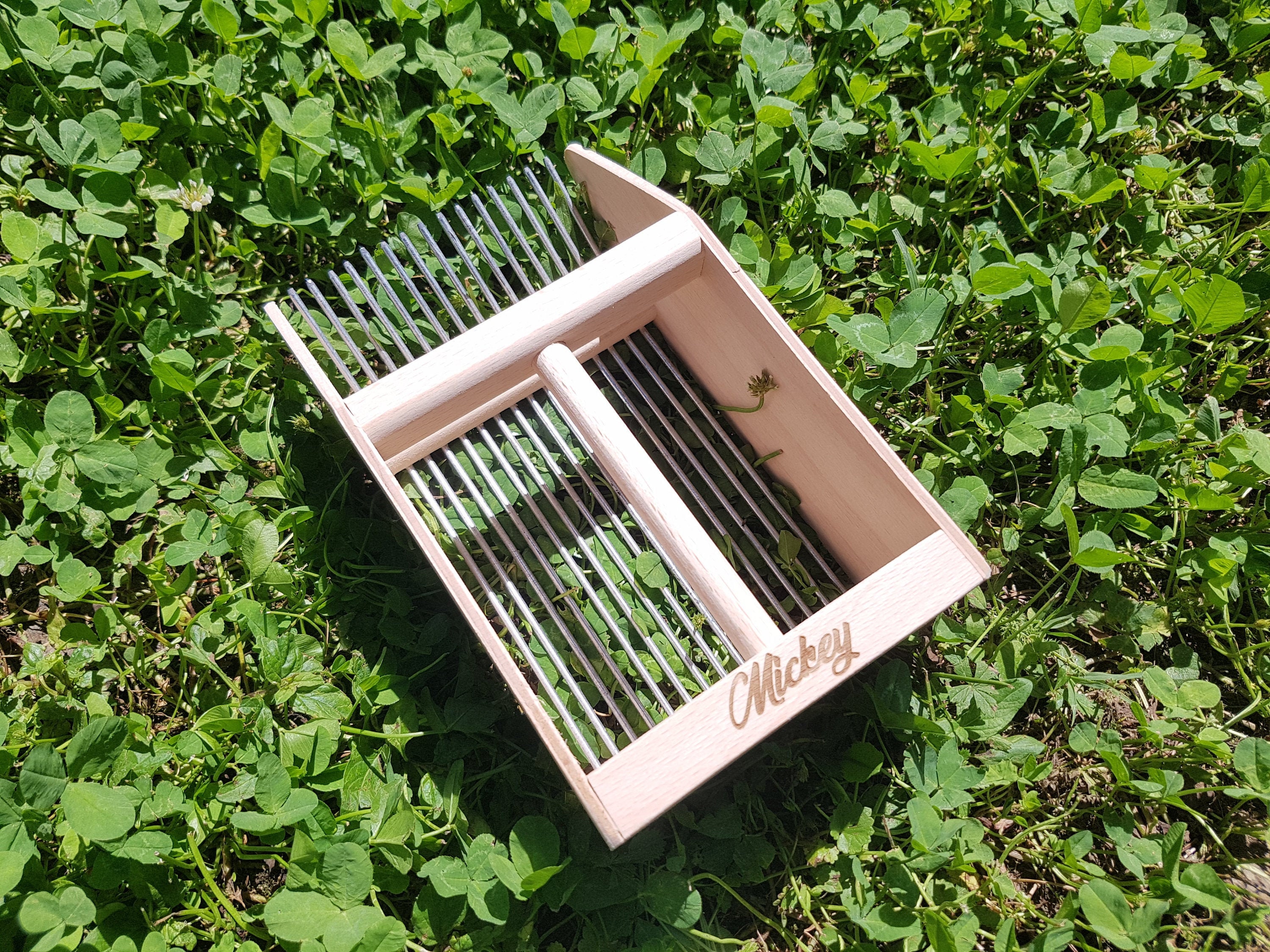 Homemade Blueberry Rake