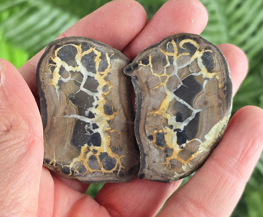 Dragonstones Pair, Septarian Nodule Geode, Septaria, Dragonstone ...