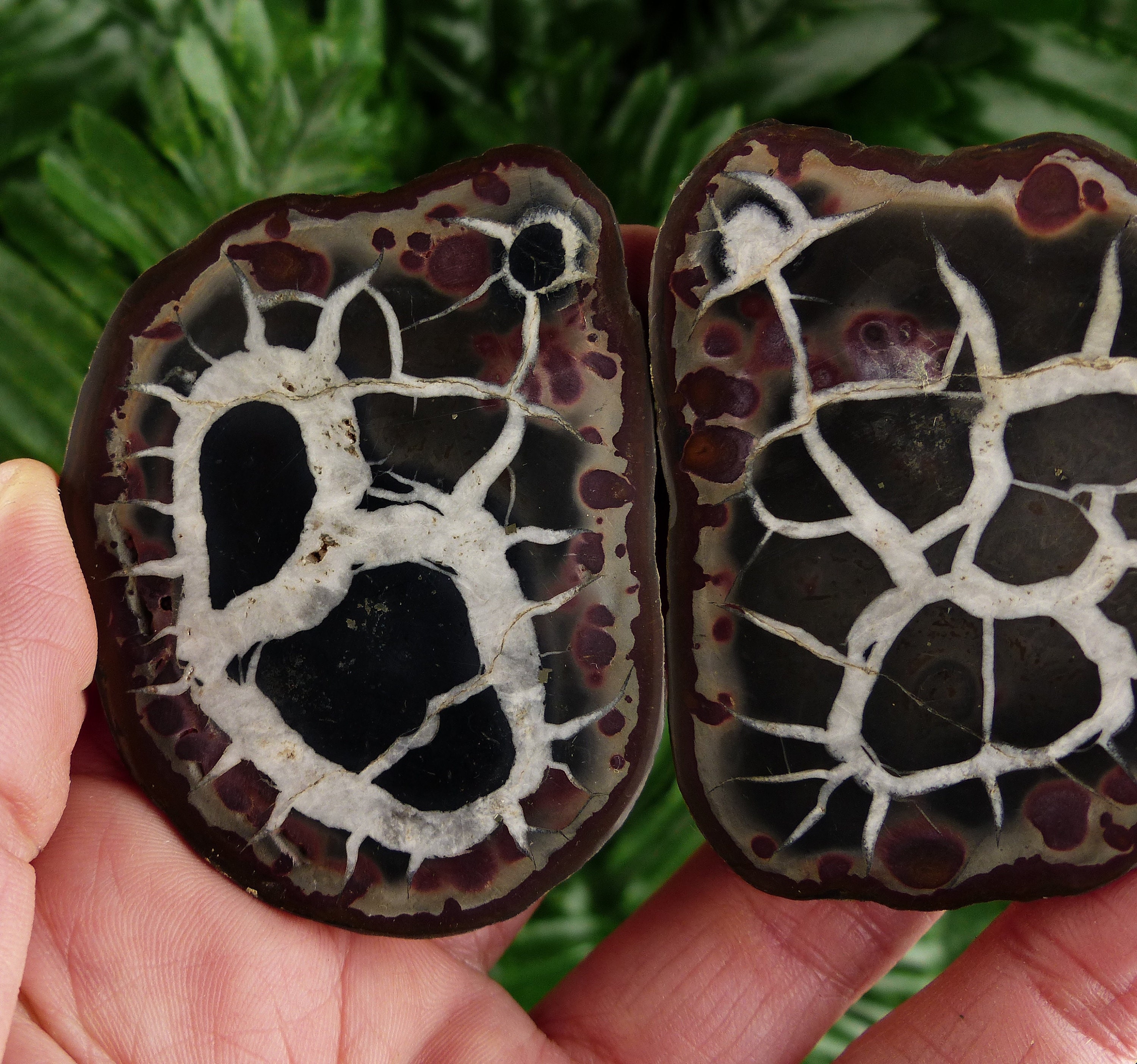 Home Décor Home & Living Dragonstone Dragon Stone Healing Stone ...