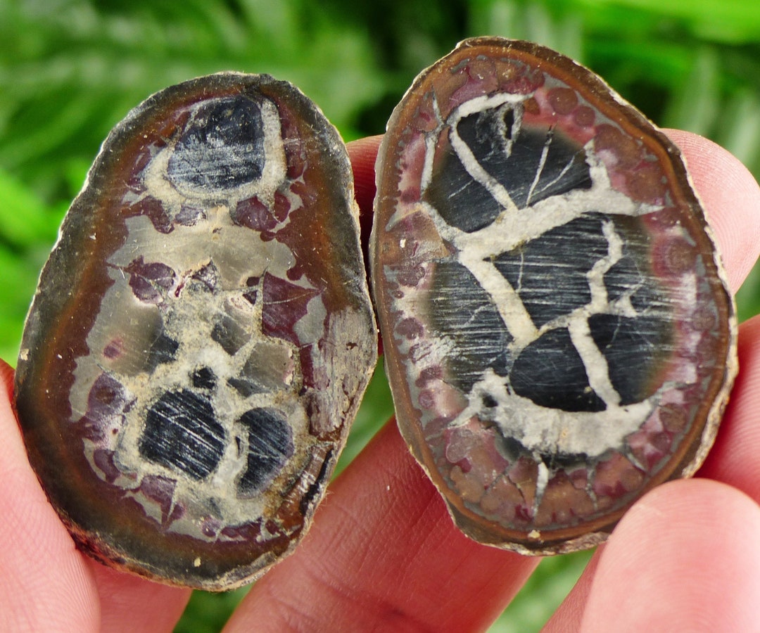 Dragonstones Pair, Septarian Nodule Geode, Septaria, Dragonstone ...