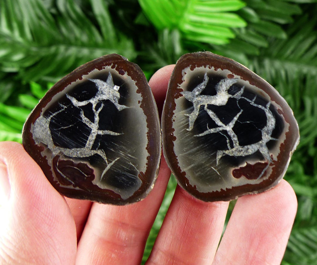 Dragonstones Pair, Septarian Nodule Geode, Septaria, Dragonstone ...