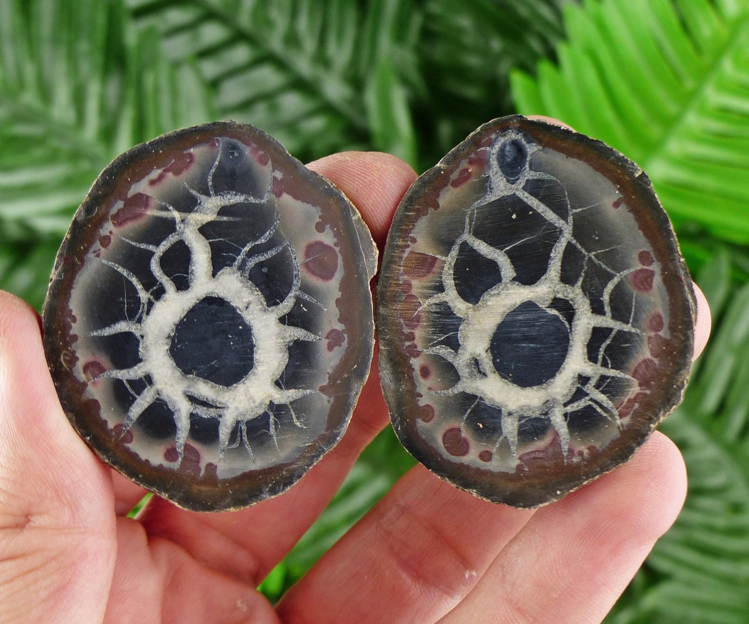 Dragonstones Pair, Septarian Nodule Geode, Septaria, Dragonstone ...