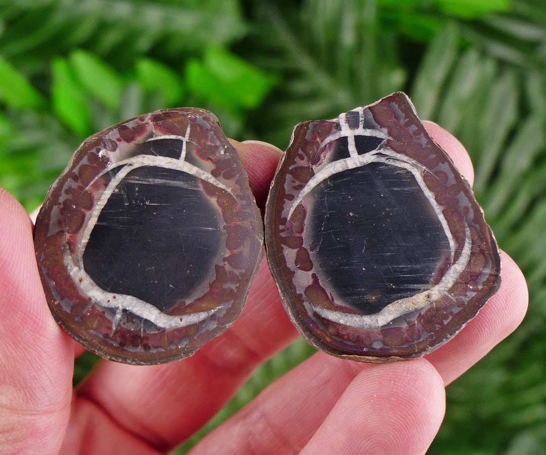 Dragonstones Pair, Septarian Nodule Geode, Septaria, Dragonstone ...