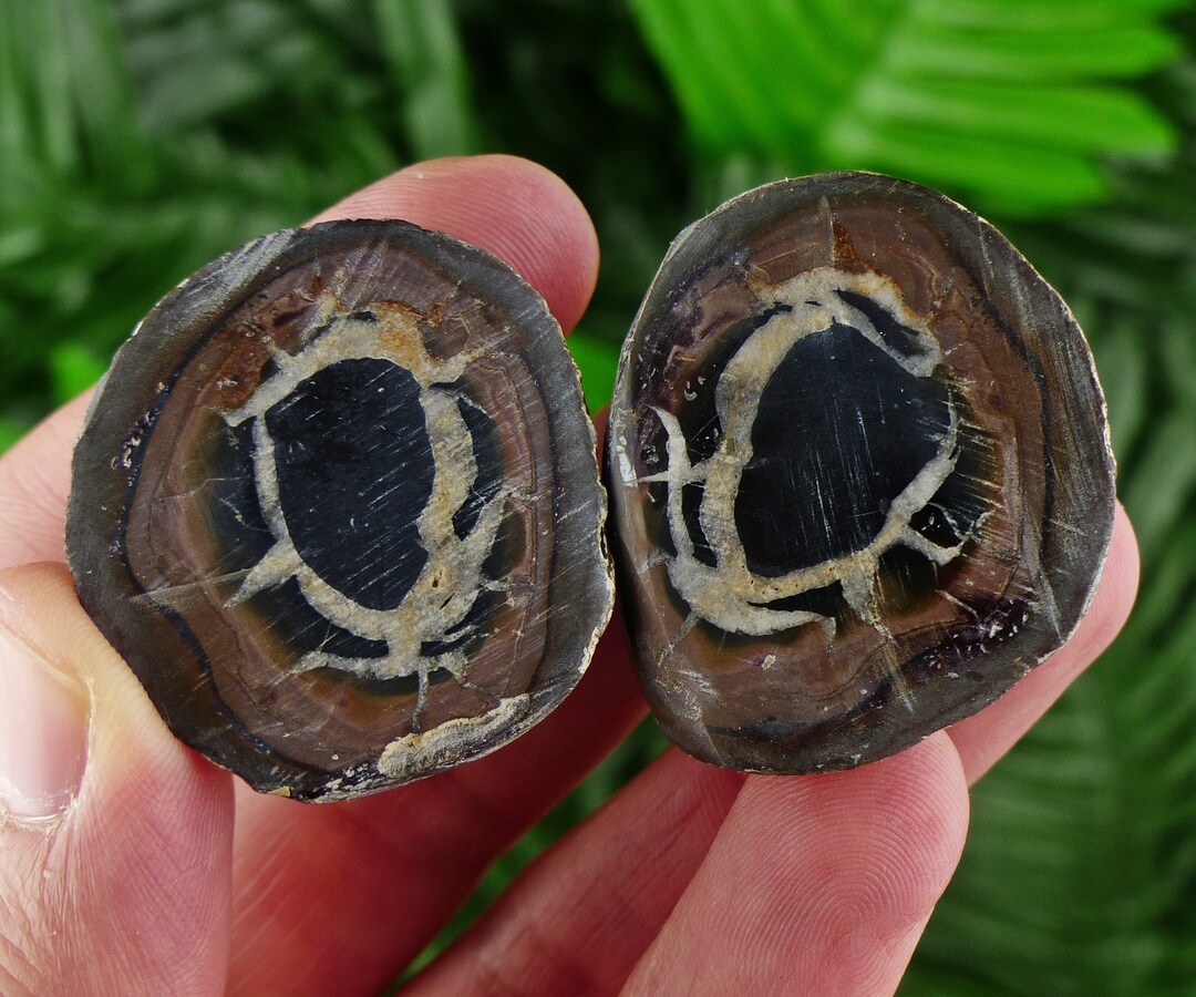 Dragonstones Pair, Septarian Nodule Geode, Septaria, Dragonstone ...