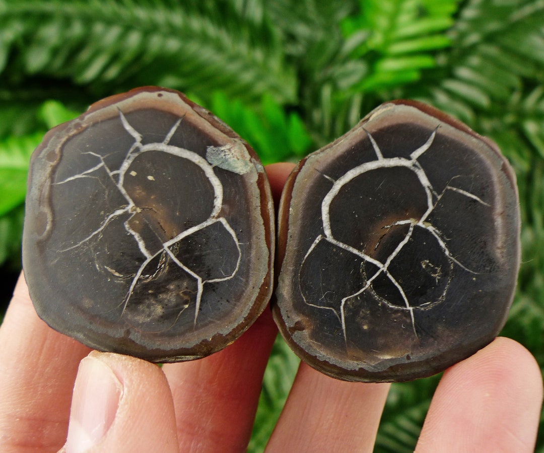 Dragonstones Pair, Septarian Nodule Geode, Septaria, Dragonstone ...