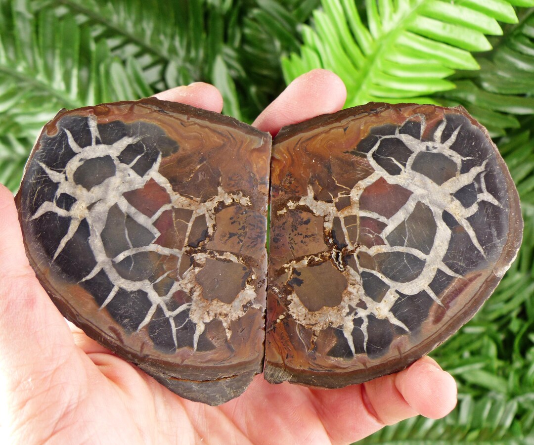 Dragonstones Pair, Septarian Nodule Geode, Septaria, Dragonstone ...