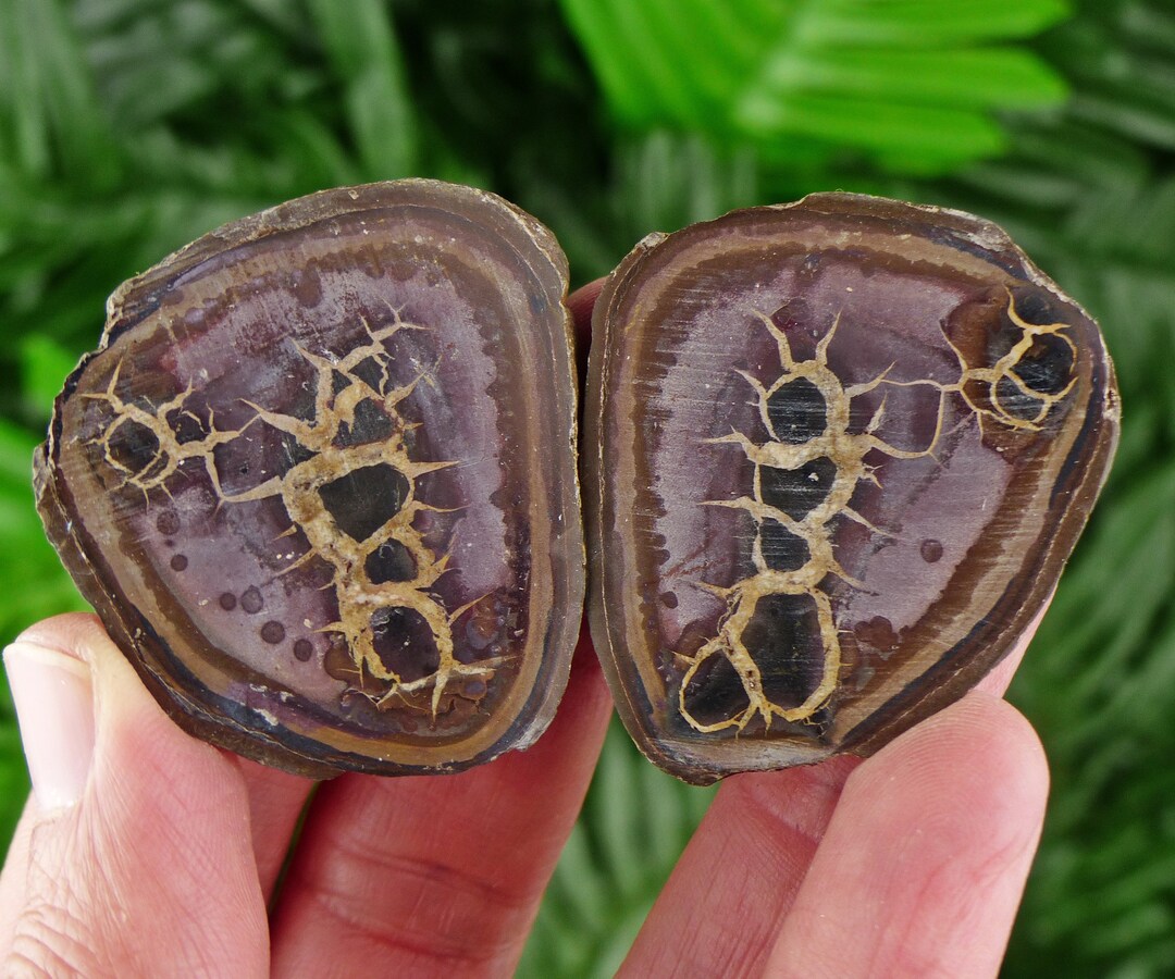 Dragonstones Pair, Septarian Nodule Geode, Septaria, Dragonstone ...