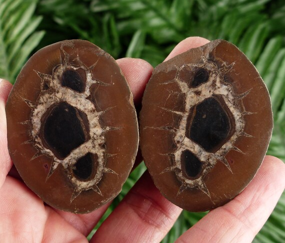 Home Décor Home & Living Dragonstone Dragon Stone Healing Stone ...