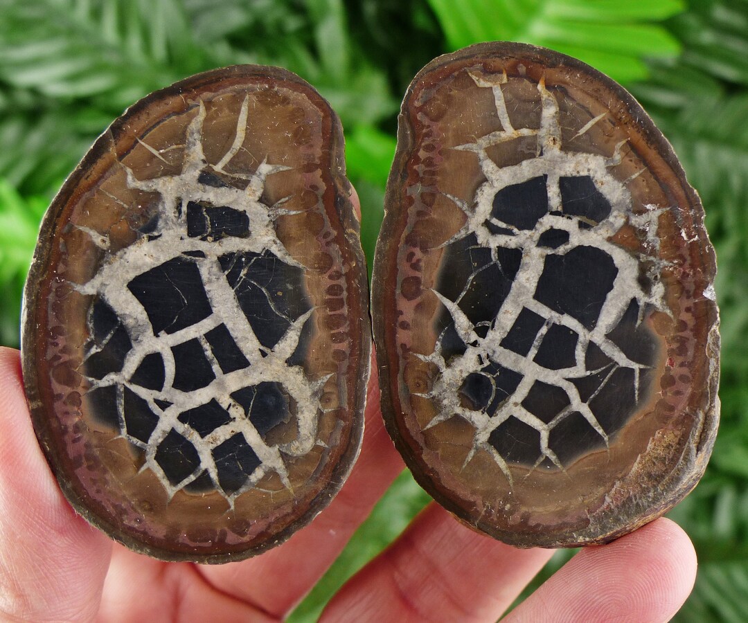 Dragonstones Pair, Septarian Nodule Geode, Septaria, Dragonstone ...