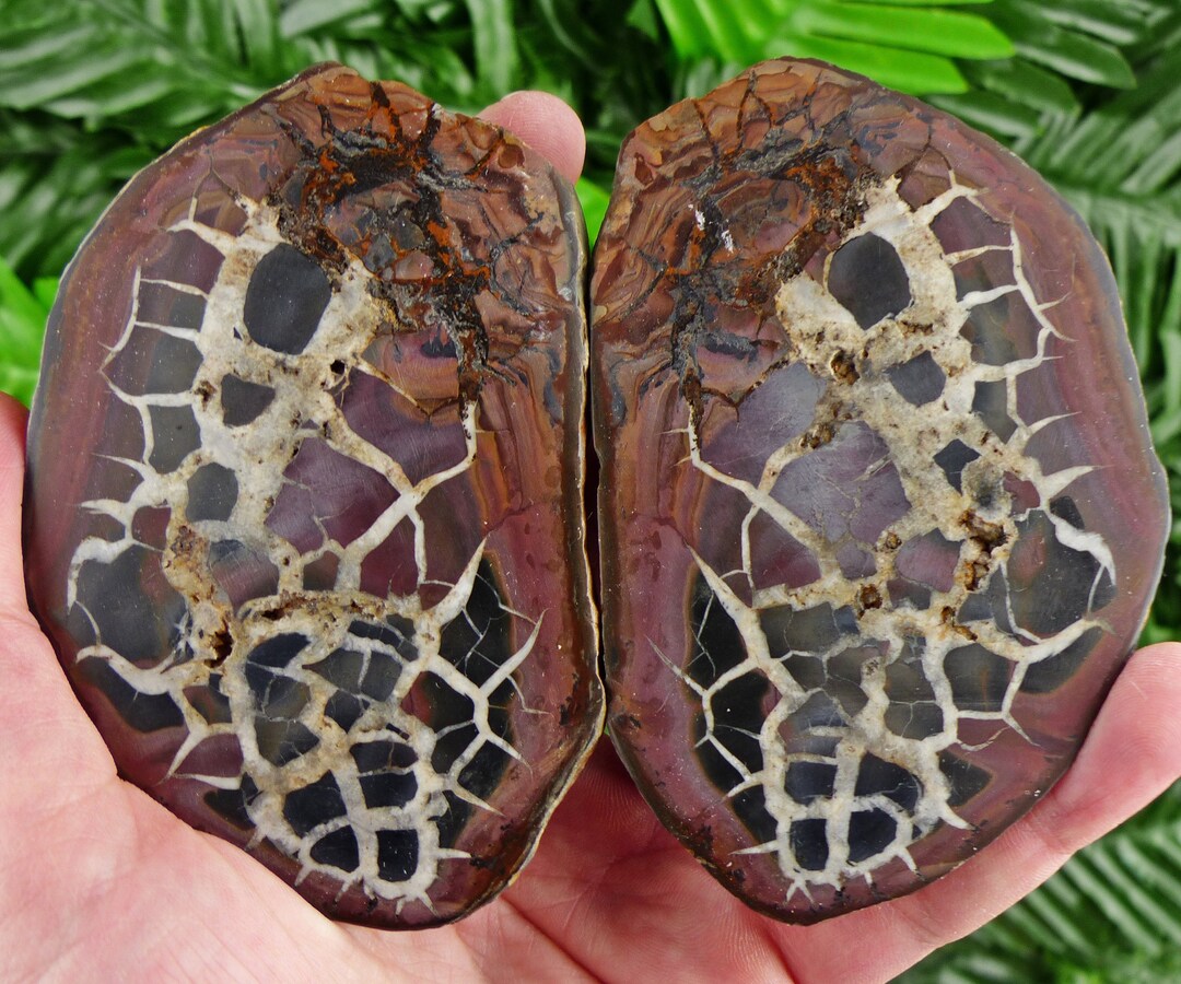 Big Septarian Nodule, Raw Crystal, Natural Mineral, Healing Crystal ...