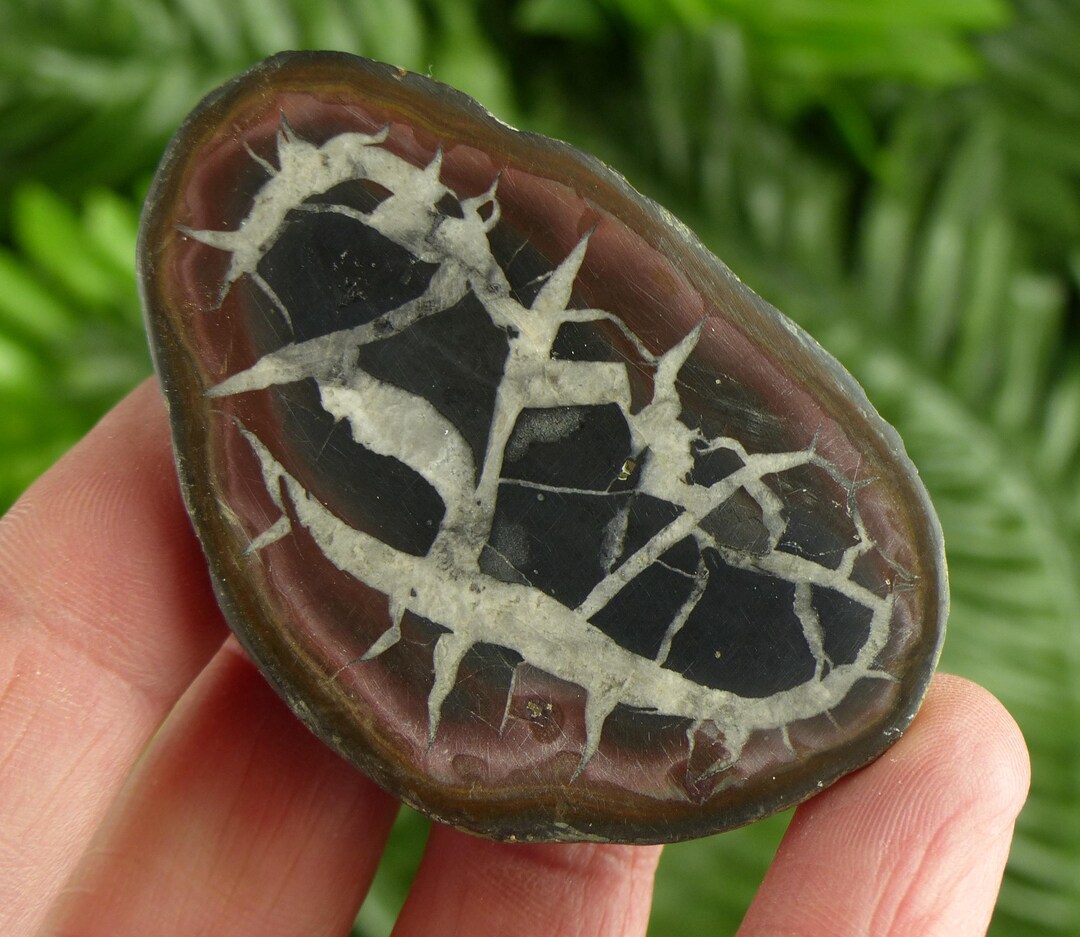 Septarian Nodule Geode, Big Septaria, Dragonstone, Aragonite, Septarian ...
