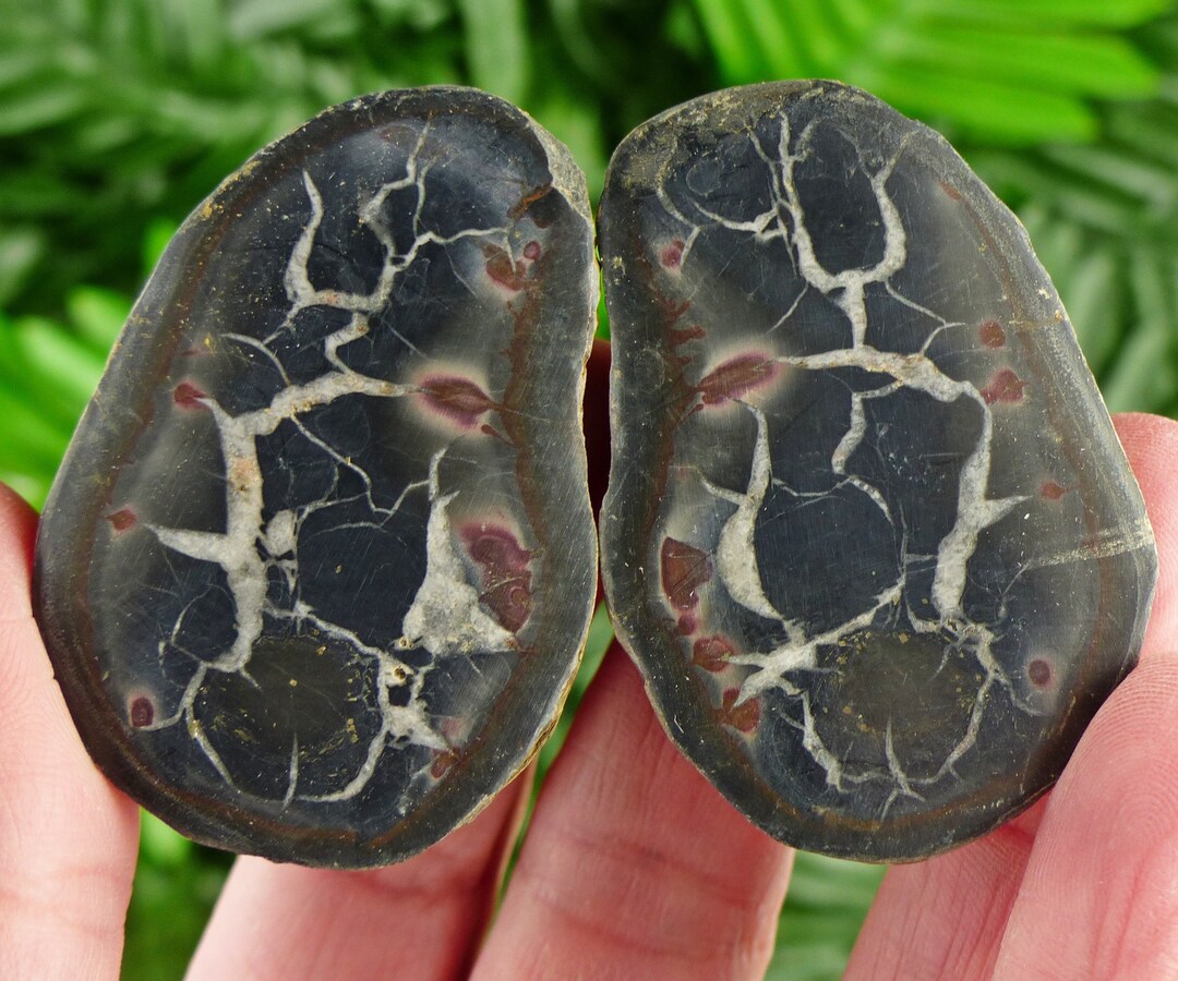 Dragonstones Pair, Septarian Nodule Geode, Septaria, Dragonstone ...