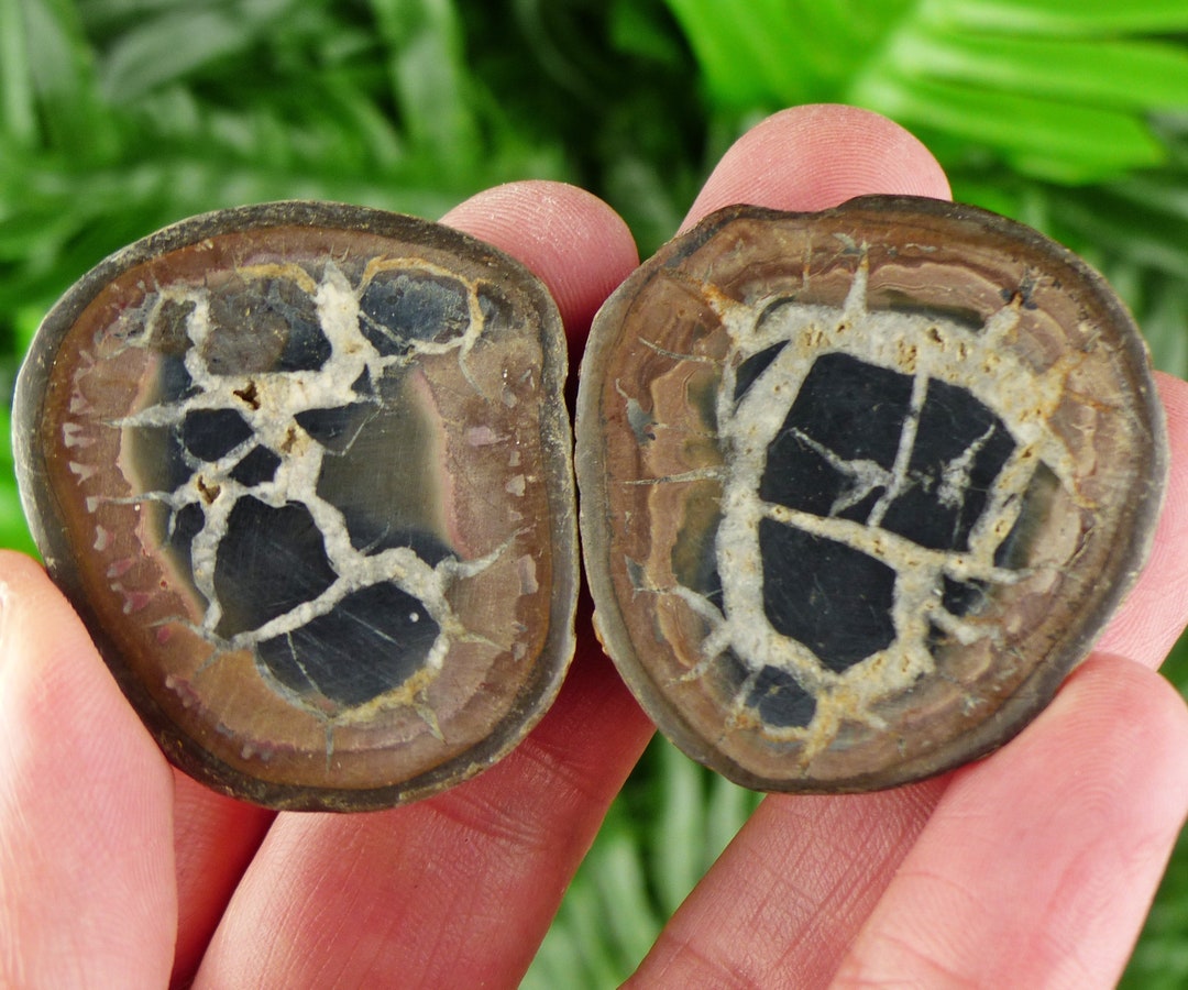 Dragonstones Pair, Septarian Nodule Geode, Septaria, Dragonstone ...