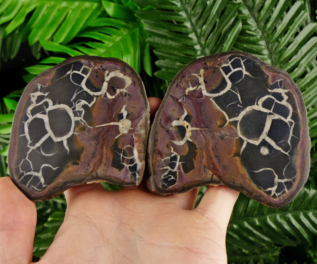 Dragonstones Pair, Septarian Nodule Geode, Septaria, Dragonstone ...