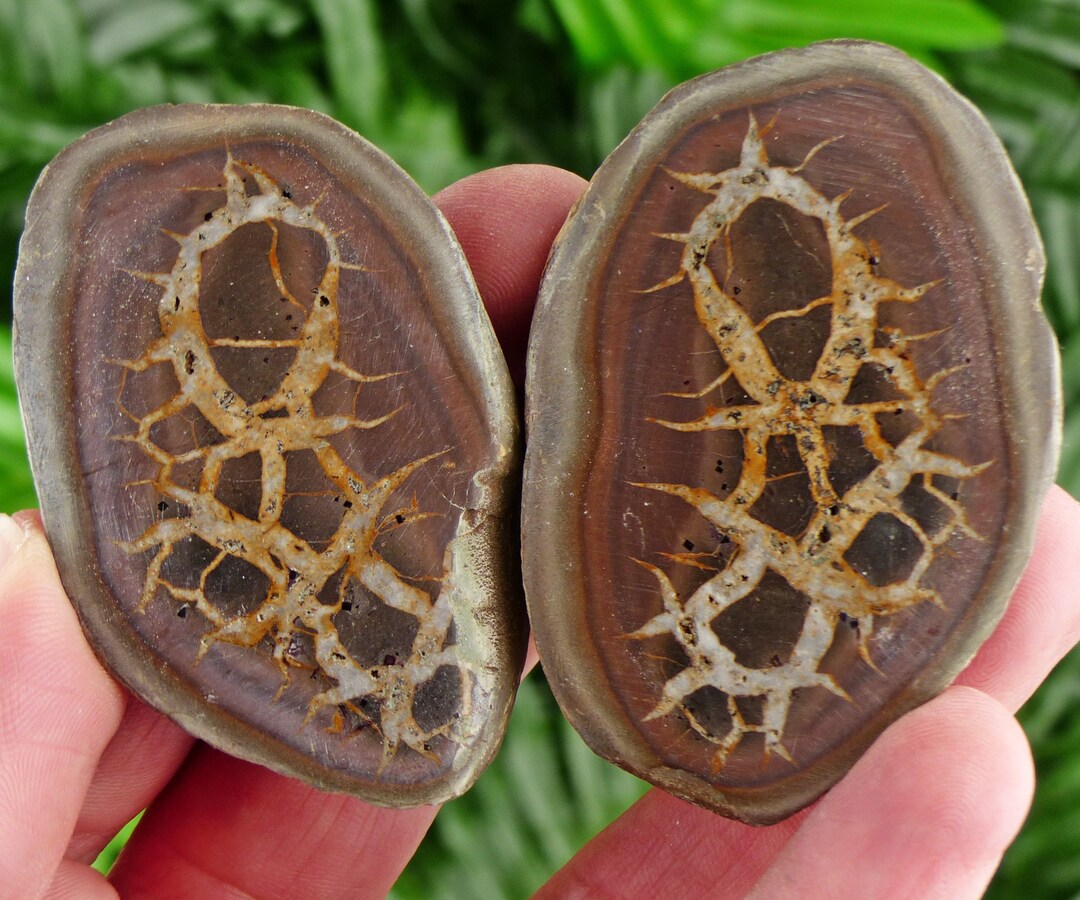 Dragonstones Pair, Septarian Nodule Geode, Septaria, Dragonstone ...
