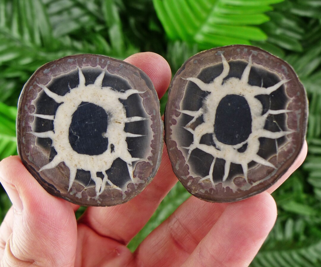 Dragonstones Pair, Septarian Nodule Geode, Septaria, Dragonstone ...