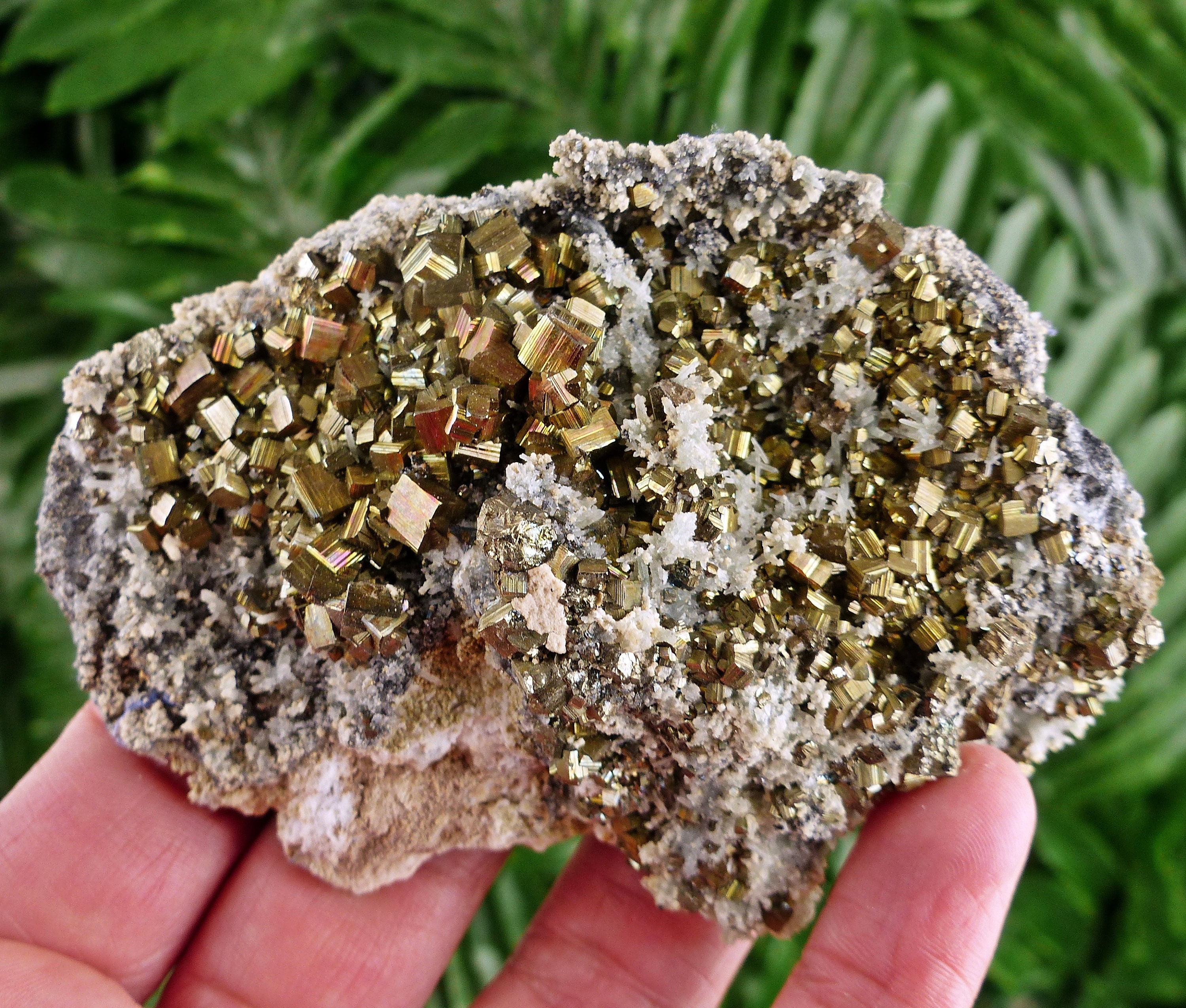 Increíble PIRITA Iridiscente Oro del Tonto con Cuarzo y | Etsy