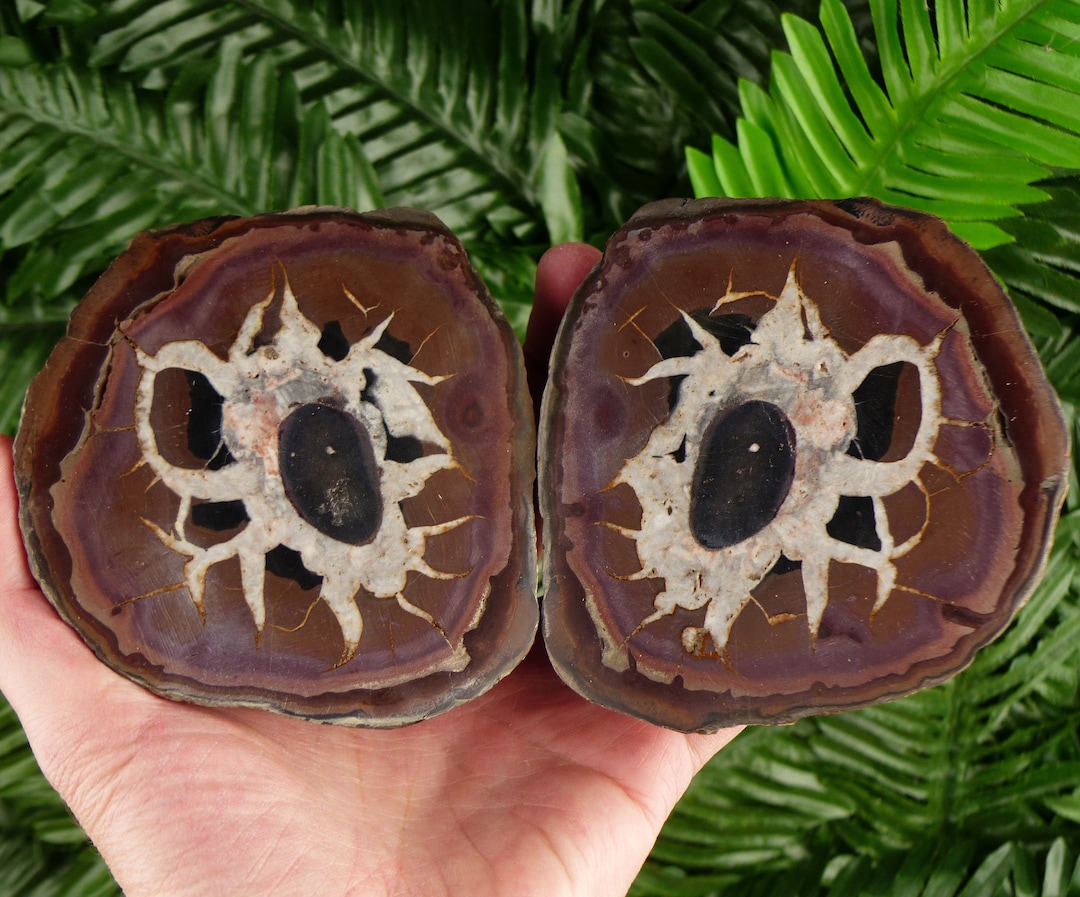 Big Septarian Nodule, Raw Crystal, Natural Mineral, Healing Crystal ...