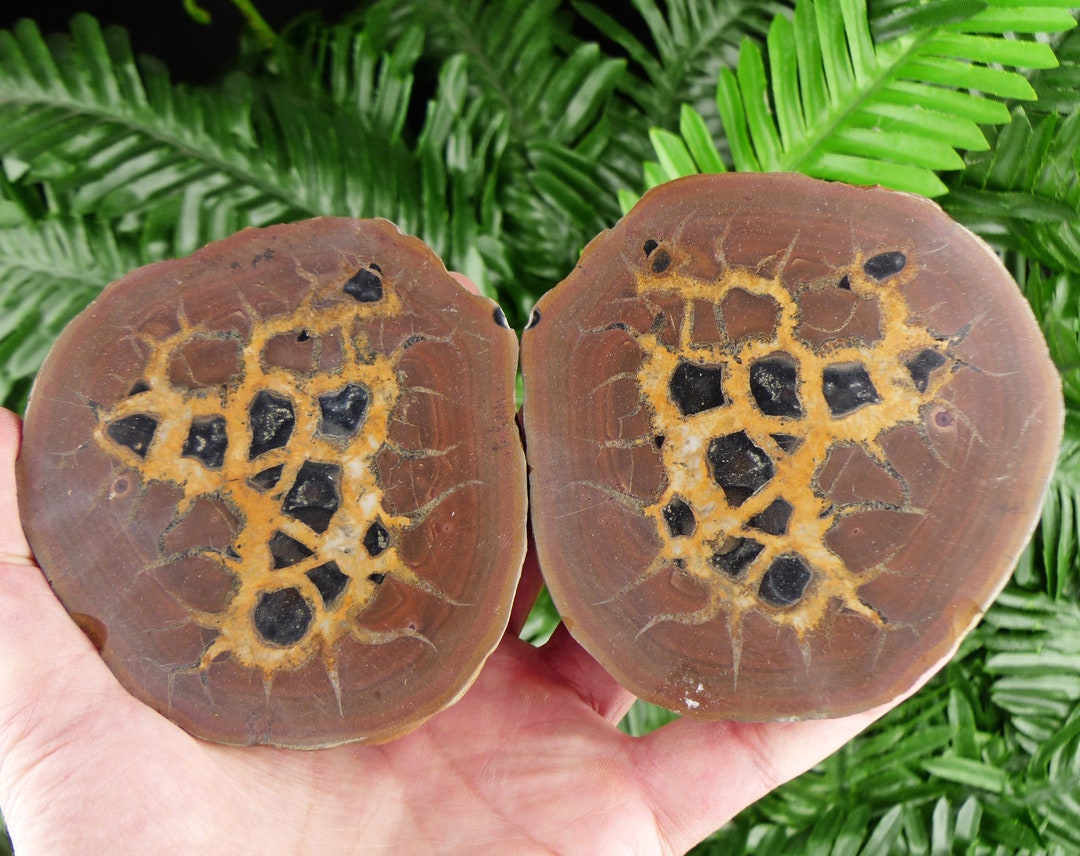 Big Septarian Nodule Geode, Big Septaria, Dragonstone, Aragonite ...