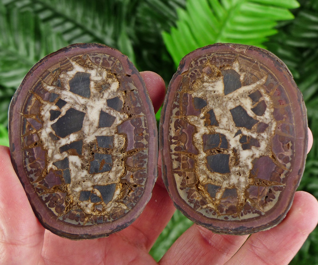 Septarian Nodule Geode, Big Septaria, Dragonstone, Aragonite, Septarian ...