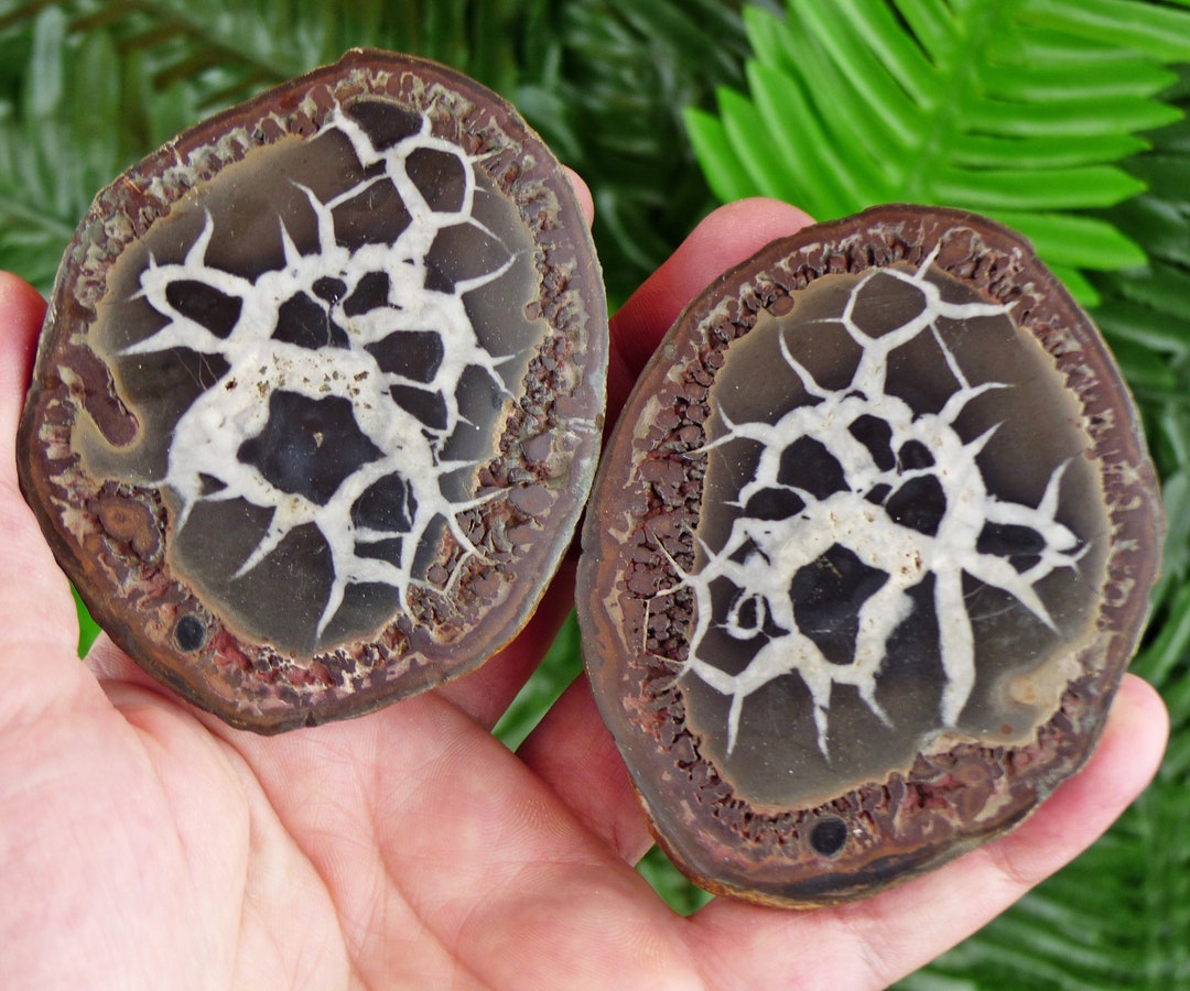 Dragonstones Pair, Septarian Nodule Geode, Septaria, Dragonstone ...