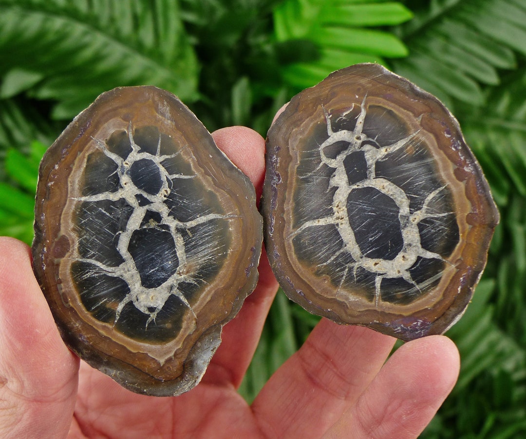 Dragonstones Pair, Septarian Nodule Geode, Septaria, Dragonstone ...