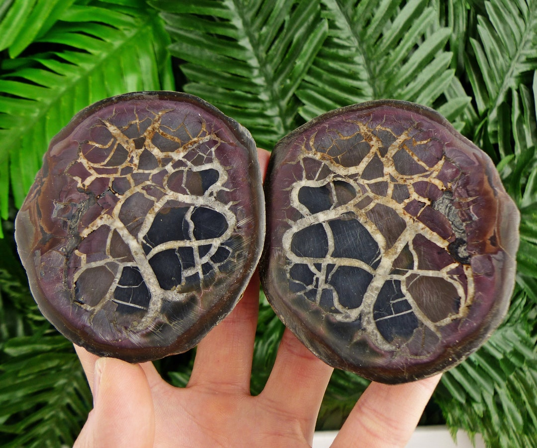 Dragonstones Pair, Septarian Nodule Geode, Septaria, Dragonstone ...