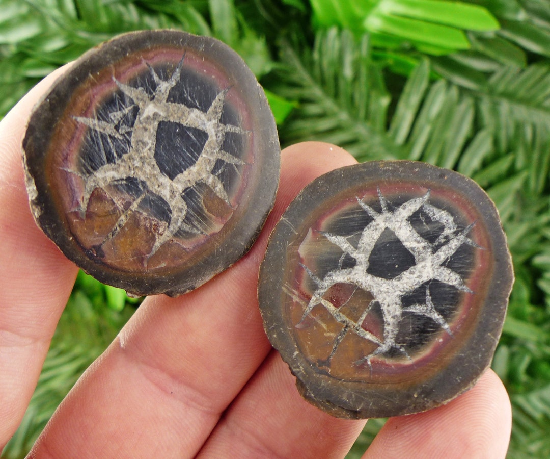 Dragonstones Pair, Septarian Nodule Geode, Septaria, Dragonstone ...