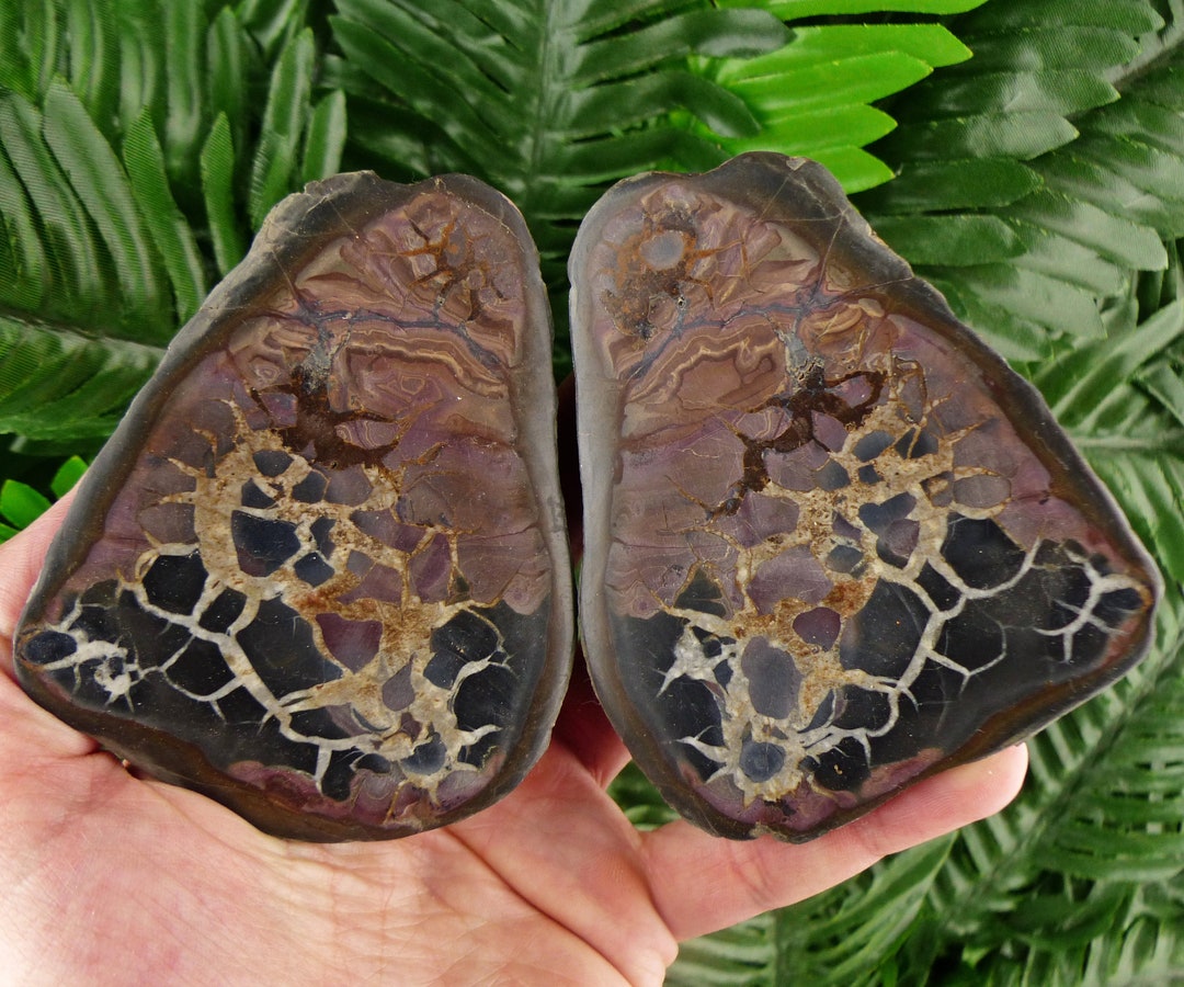 Dragonstones Pair Septarian Nodule Geode Septaria - Etsy