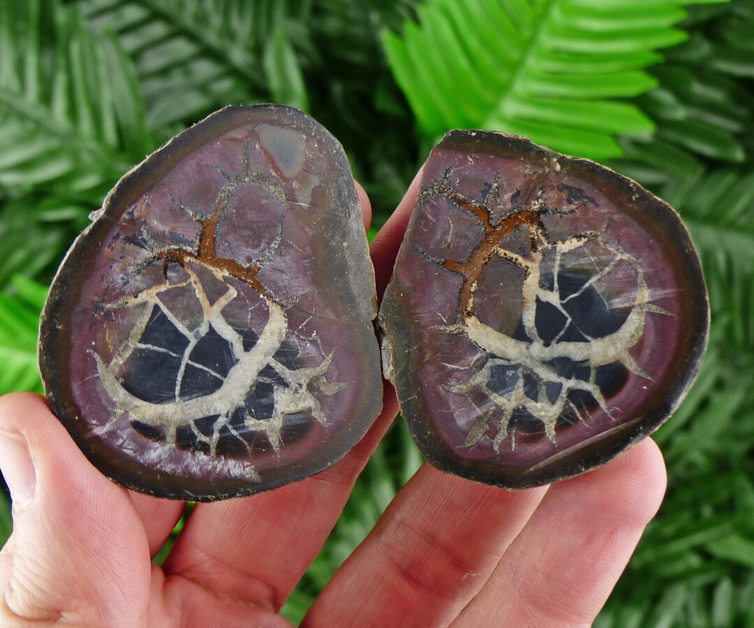 Dragonstones Pair, Septarian Nodule Geode, Septaria, Dragonstone ...