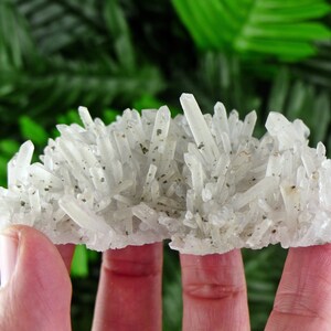 Rare Quartz Crystallization, Milky Quartz, Raw Crystal, Natural Mineral ...