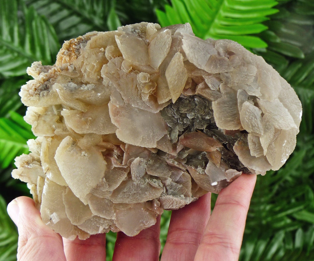 Amazing and Rare Two Generation Calcite Crystallization With Chlorite ...