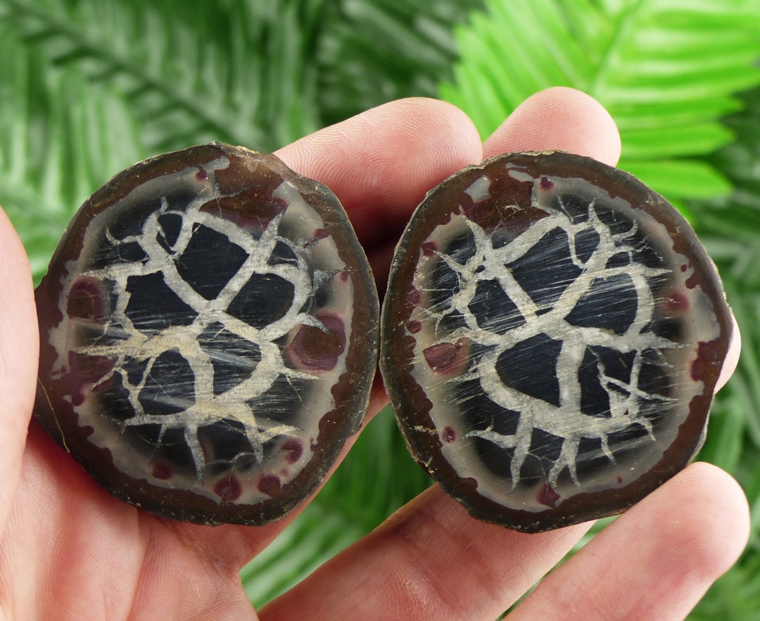 Dragonstones Pair, Septarian Nodule Geode, Septaria, Dragonstone ...