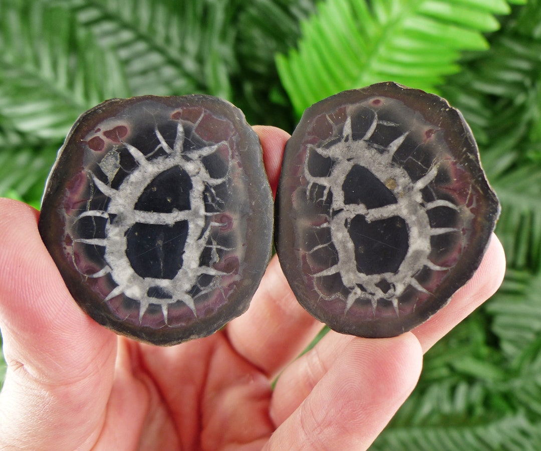 Dragonstones Pair, Septarian Nodule Geode, Septaria, Dragonstone ...