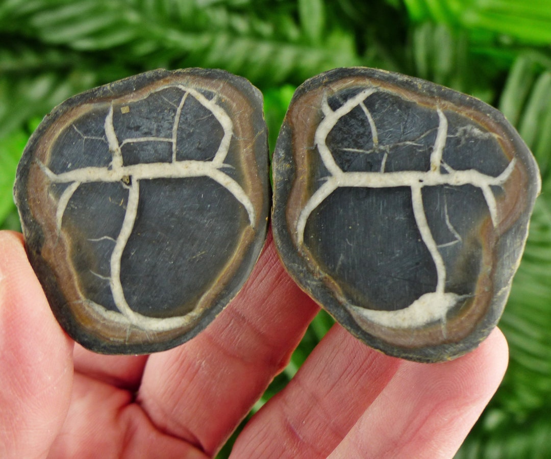 Dragonstones Pair, Septarian Nodule Geode, Septaria, Dragonstone ...