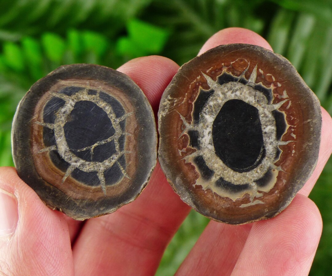 Dragonstones Pair, Septarian Nodule Geode, Septaria, Dragonstone ...