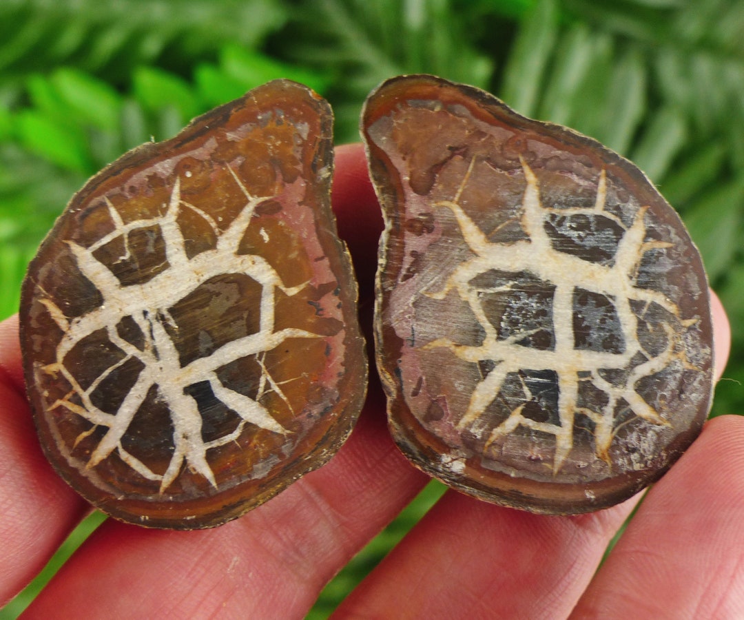 Dragonstones Pair, Septarian Nodule Geode, Septaria, Dragonstone ...