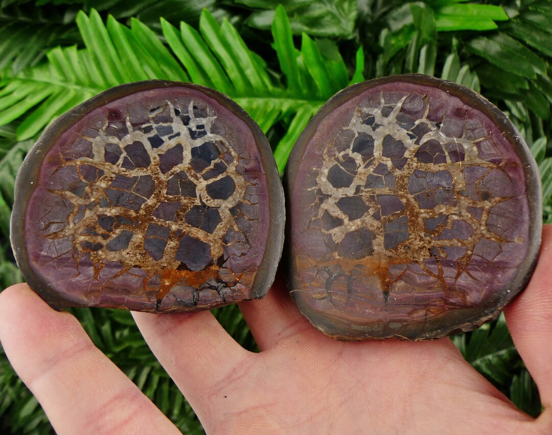 Dragonstones Pair, Septarian Nodule Geode, Septaria, Dragonstone ...
