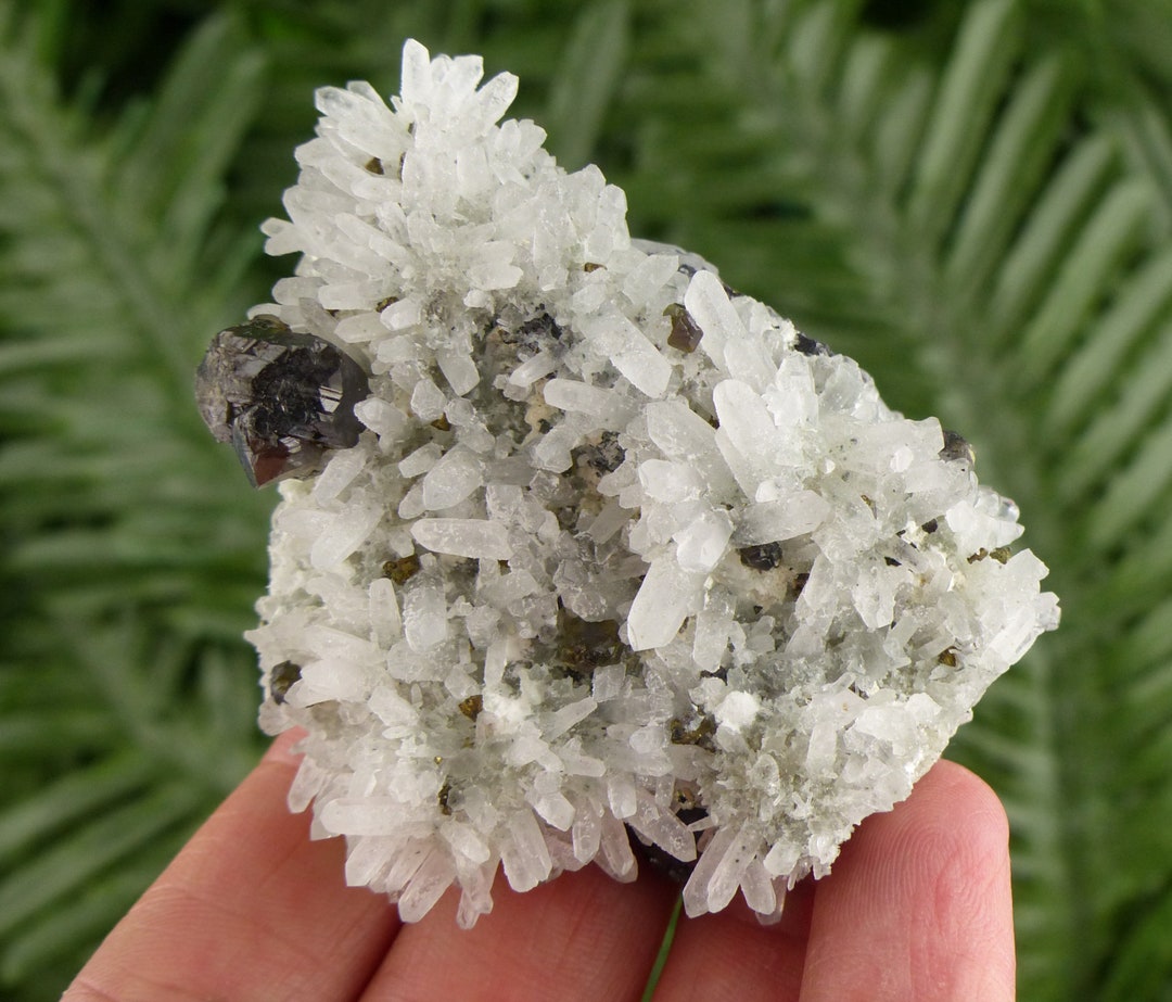 Rare Gem Sphalerite Var, Cleiophane on Quartz , Crystal, Mineral ...