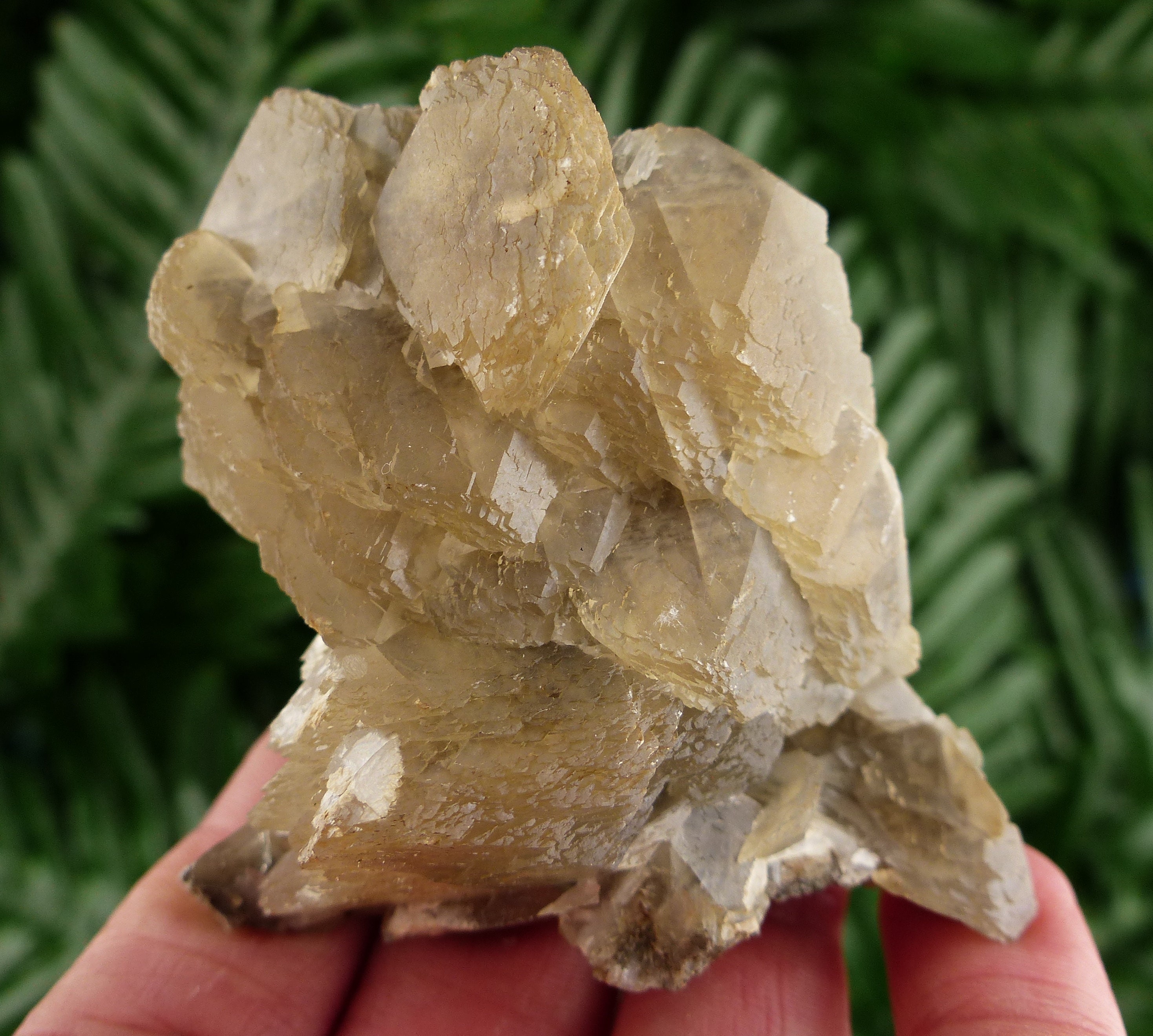 Rare Calcite Crystallization Crystal Mineral Natural | Etsy