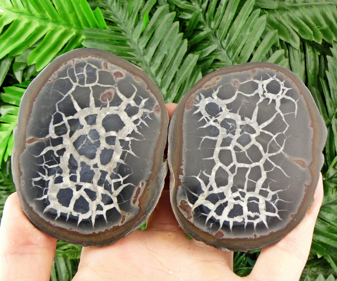 Dragonstones Pair, Septarian Nodule Geode, Septaria, Dragonstone ...