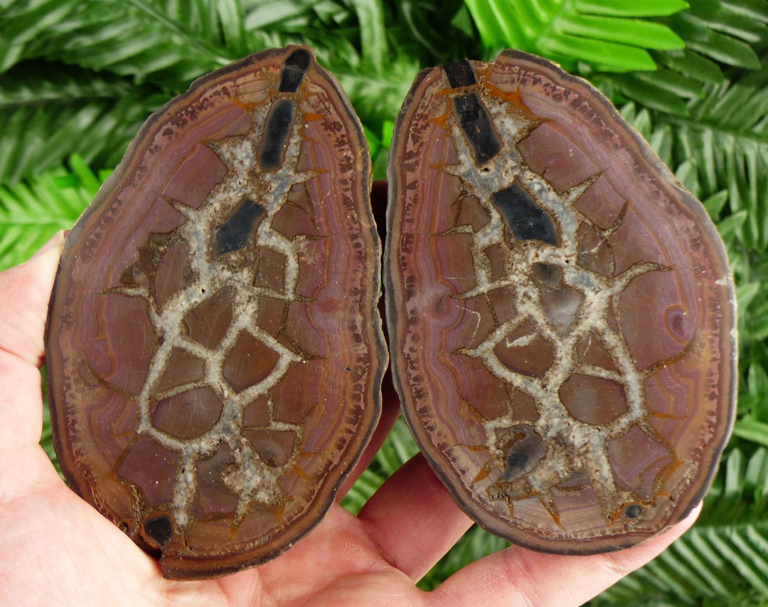 Dragonstones Pair, Septarian Nodule Geode, Septaria, Dragonstone ...