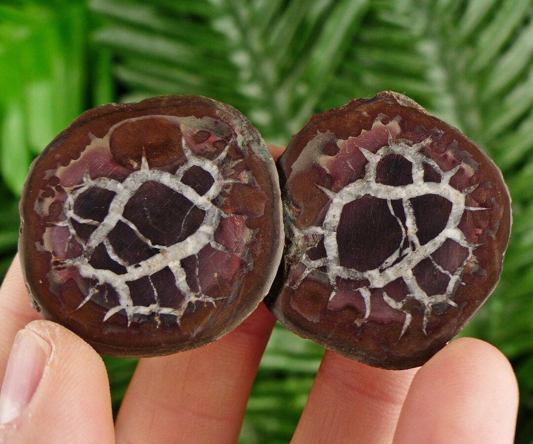 Dragonstones Pair, Septarian Nodule Geode, Septaria, Dragonstone ...