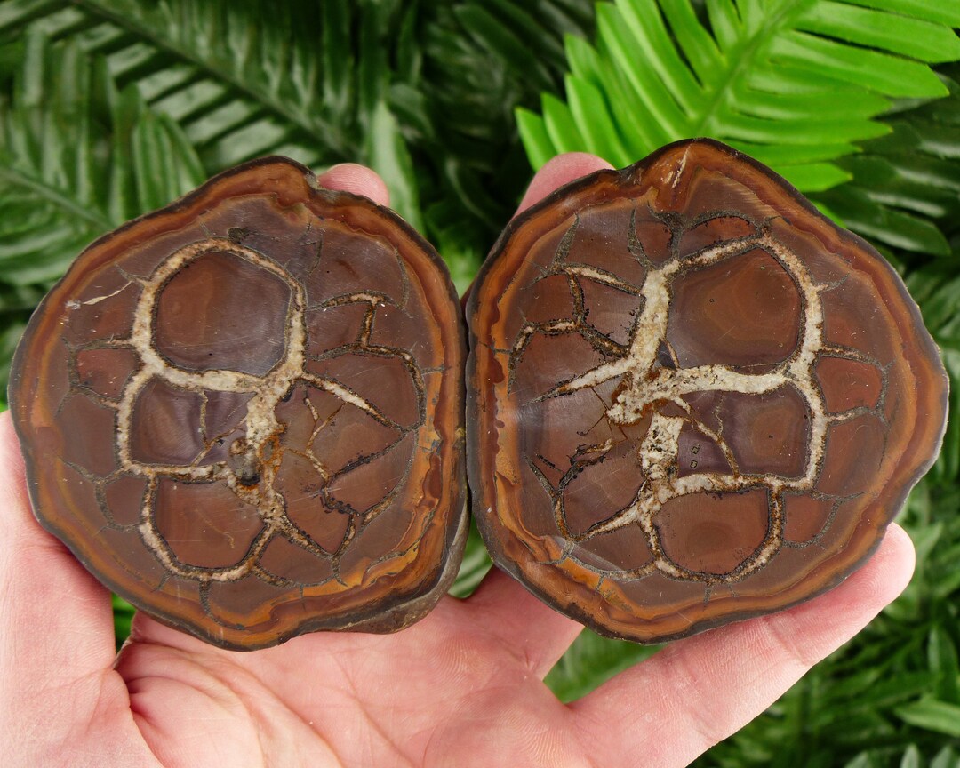 Big Septarian Nodule, Raw Crystal, Natural Mineral, Healing Crystal ...