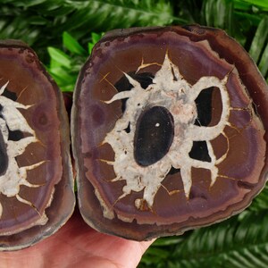 Big Septarian Nodule, Raw Crystal, Natural Mineral, Healing Crystal ...