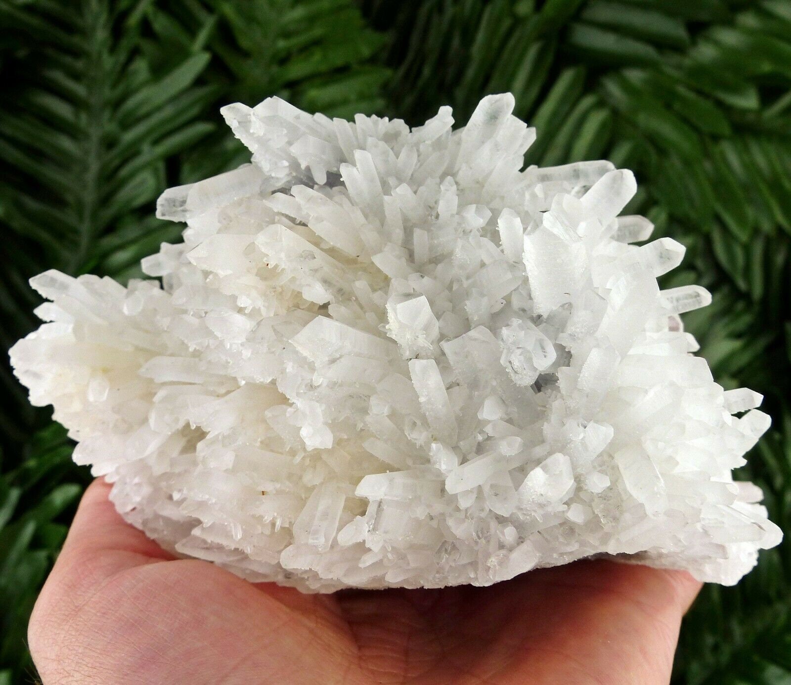 Amazing Milky Quartz Raw Crystals Quartz Crystal Mineral | Etsy