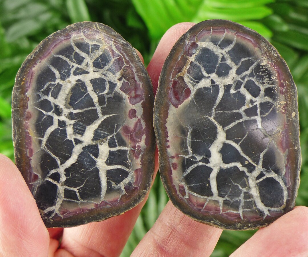 Dragonstones Pair, Septarian Nodule Geode, Septaria, Dragonstone ...