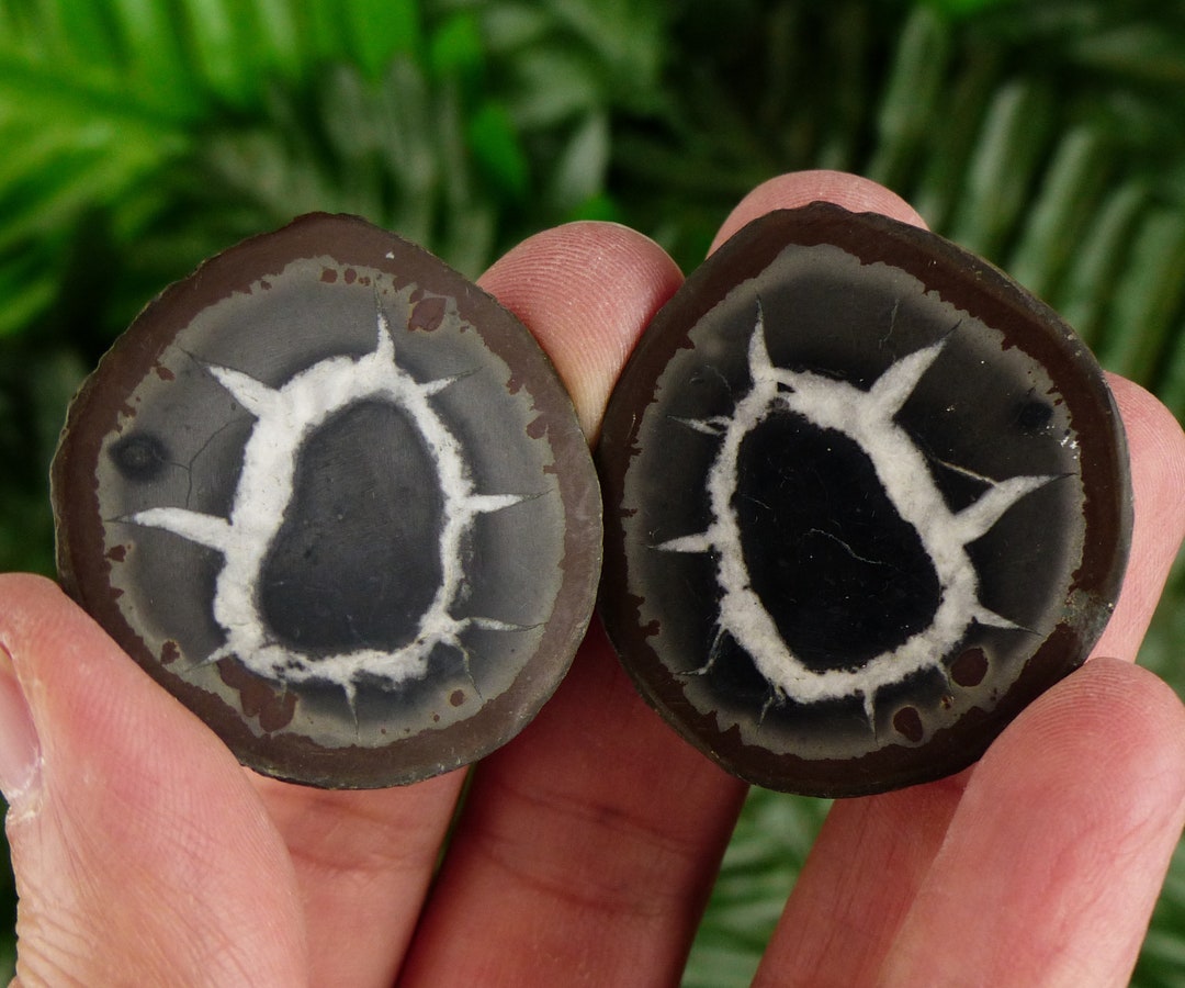 Dragonstones Pair, Septarian Nodule Geode, Septaria, Dragonstone ...