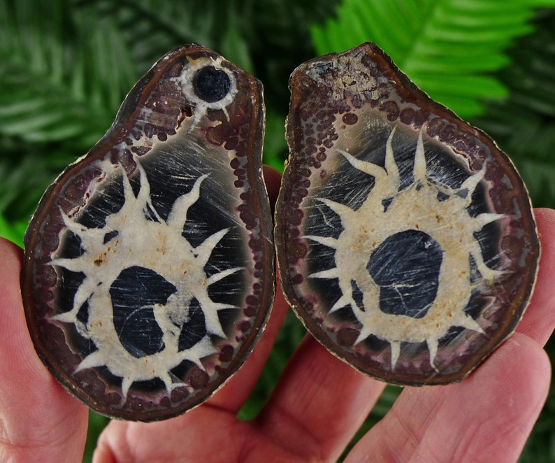 Dragonstones Pair, Septarian Nodule Geode, Septaria, Dragonstone ...
