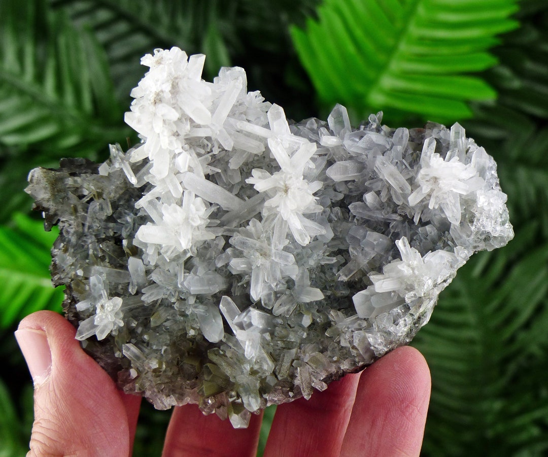 Rare Quartz Crystallization, Milky Quartz, Raw Crystal, Natural Mineral ...